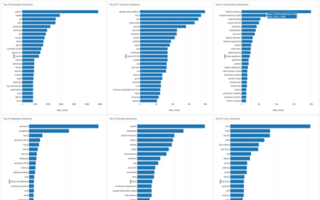 Top 25 Questions by Persona